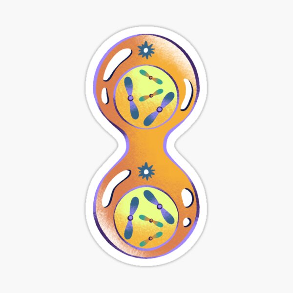 "Mitosis Cell Division" Sticker for Sale by PotluckPrints | Redbubble