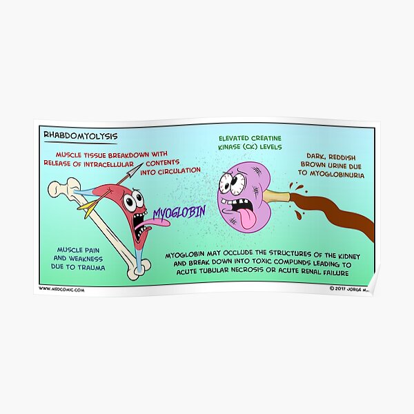 "Rhabdomyolysis" Poster for Sale by Medcomic | Redbubble