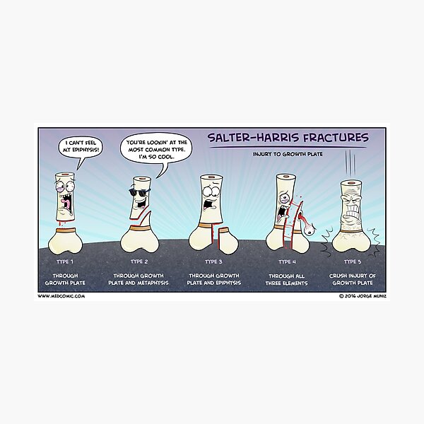 "Salter-Harris Fractures" Photographic Print by Medcomic | Redbubble