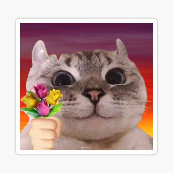 "polite cat with flowers" Sticker for Sale by CatDealer | Redbubble