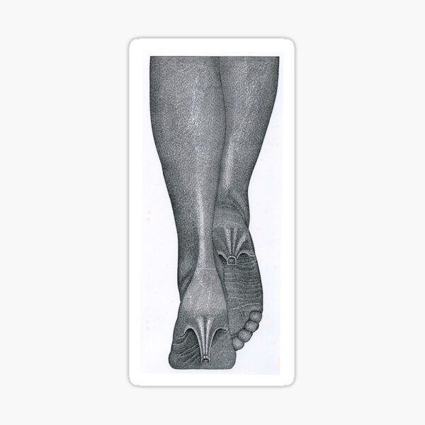 "LEGS" Sticker for Sale by BBarac | Redbubble