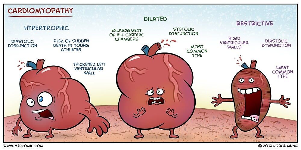 "Cardiomyopathy" by Medcomic | Redbubble