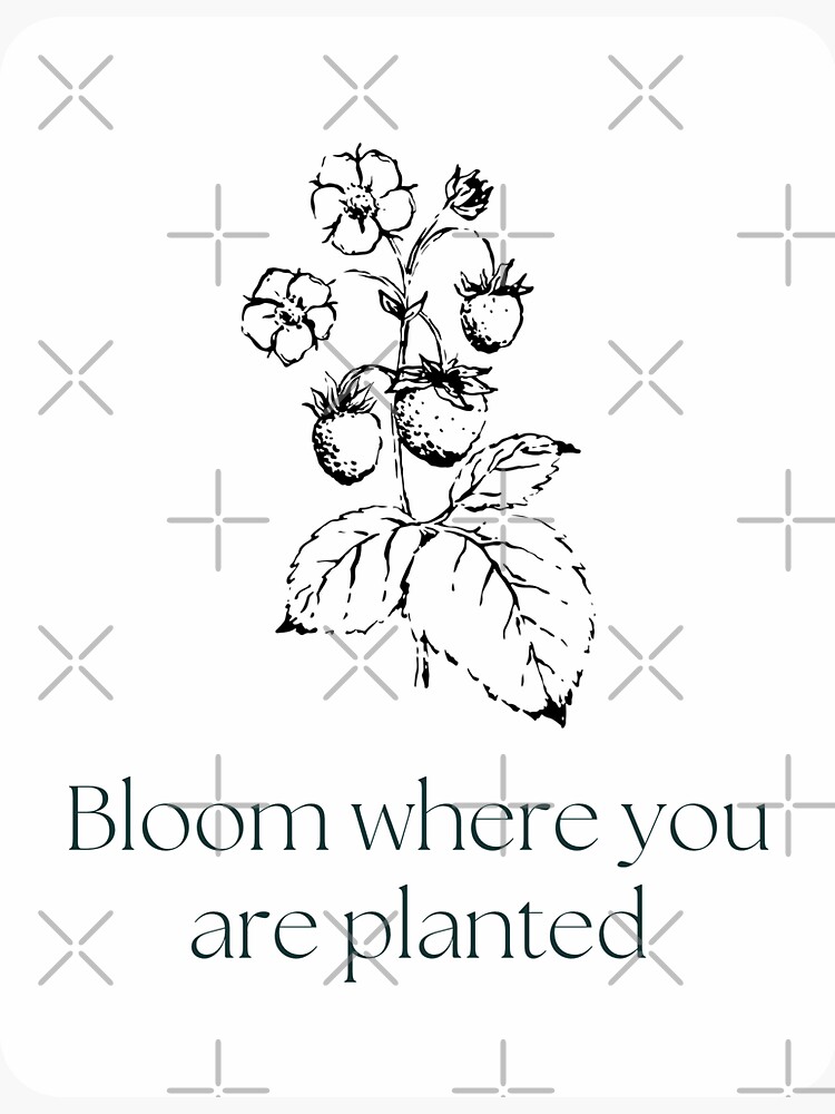 "Bloom Where You Are Planted " Sticker for Sale by RitaCuppariArt ...