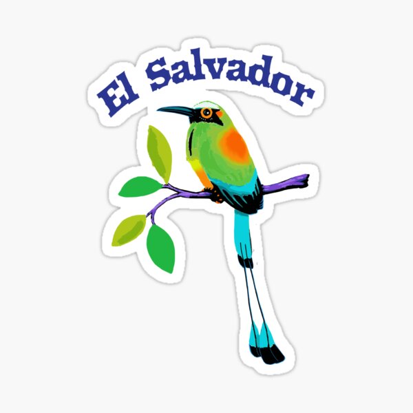 "The beautiful Torogóz bird" Sticker for Sale by paisajetropical ...