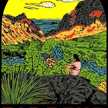 "The Window BIG BEND National Park Vintage Travel Decal" Sticker for ...