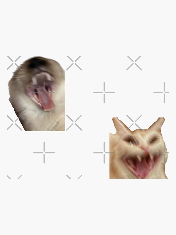 "cats meme" Sticker for Sale by CreativeDump | Redbubble
