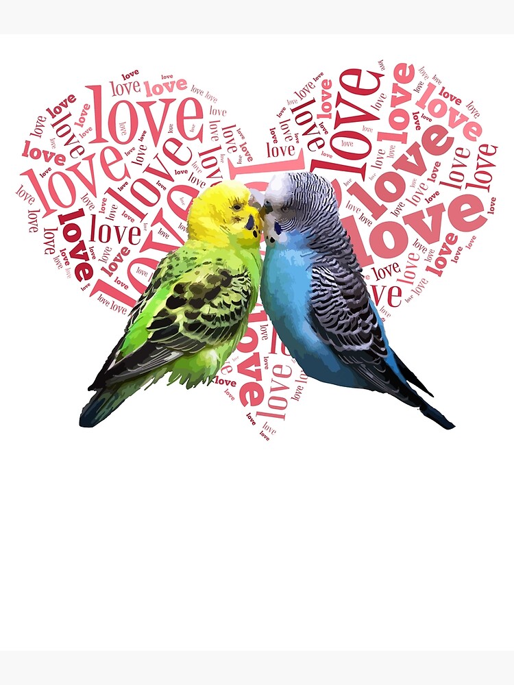 "Cute Budgie Love Heart Parakeet Kiss" Poster for Sale by Animalzilla ...