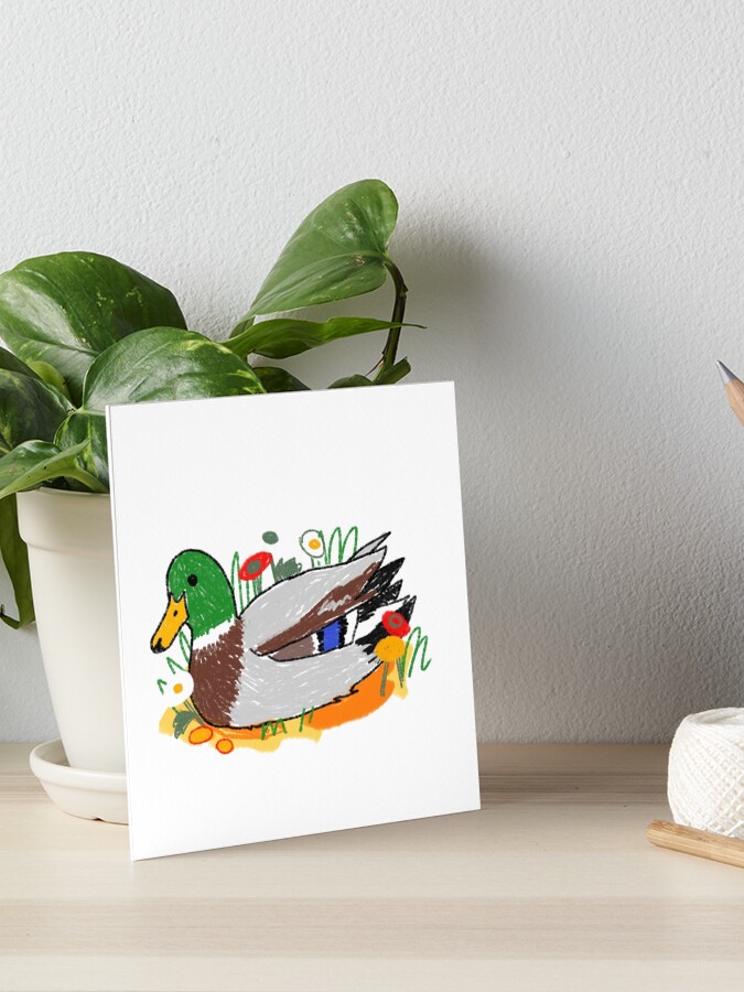 Mallard Duck Pencil Drawing