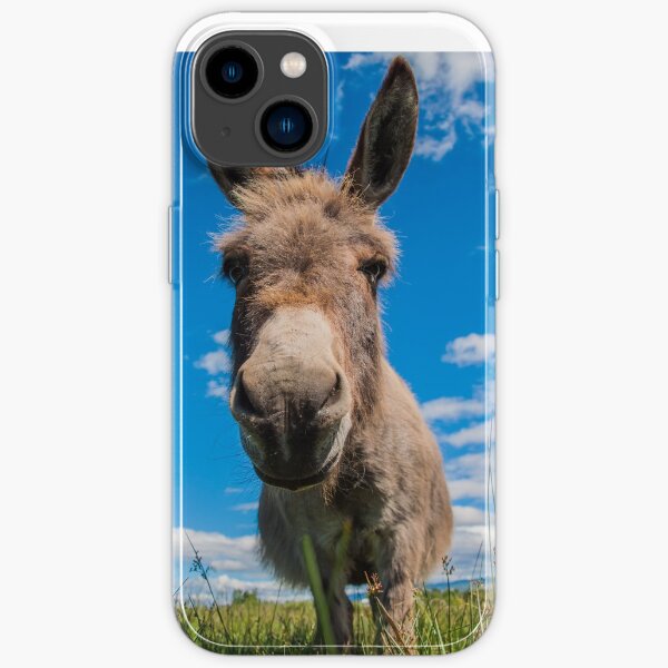 "Donkey" iPhone Case for Sale by ddeweyphoto | Redbubble