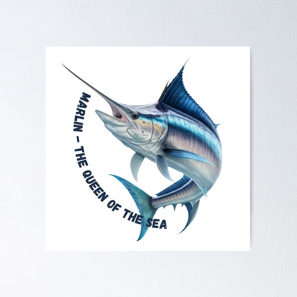 "MARLIN - THE QUEEN OF THE SEA - Marlin, Sailfish, Sailfish," Poster by ...