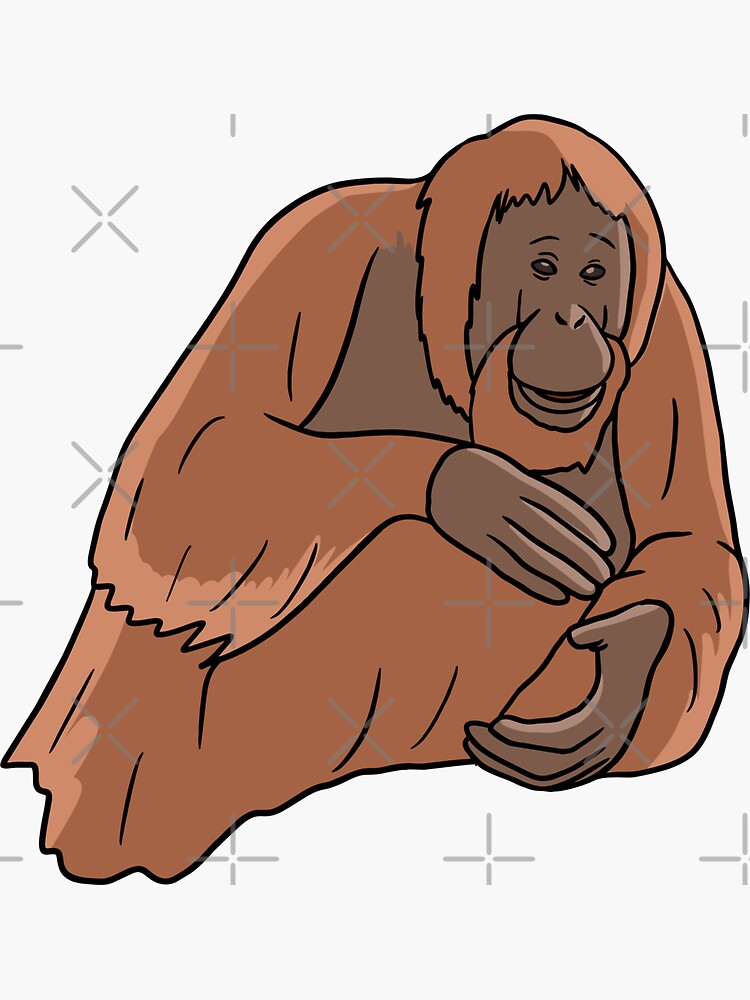 "Orangutans" Sticker for Sale by Animster | Redbubble