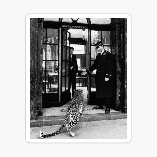 "Panther Cartier" Sticker for Sale by maison-classy | Redbubble