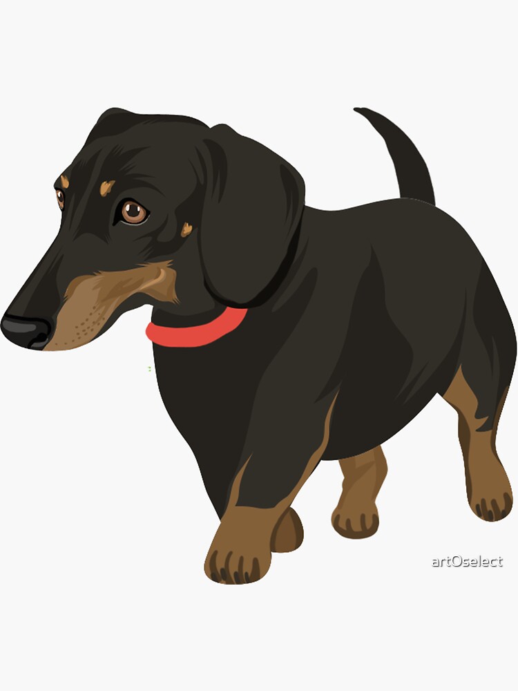 "dachshund dog illustration" Sticker for Sale by artOselect | Redbubble
