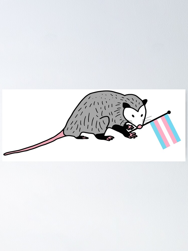 "Cute Opossum Holding Trans Pride Flag" Poster for Sale by Softsi ...