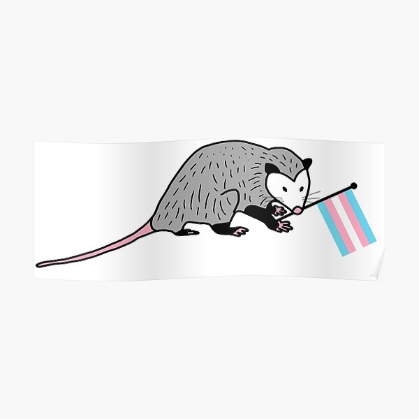 "Cute Opossum Holding Trans Pride Flag" Poster for Sale by Softsi ...