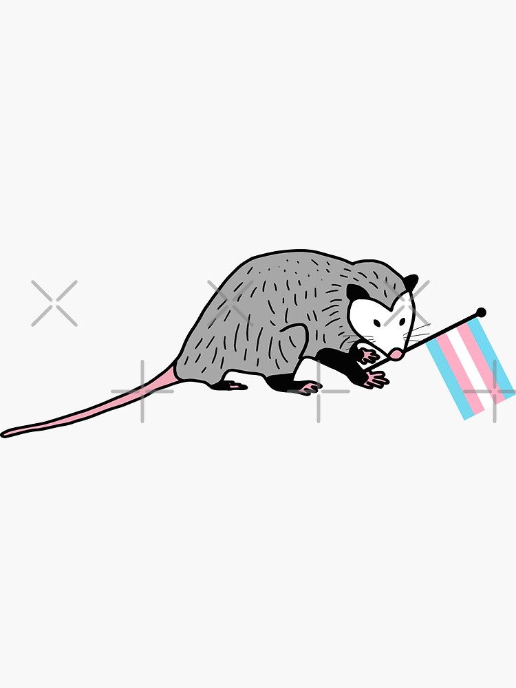 "Cute Opossum Holding Trans Pride Flag" Sticker for Sale by Softsi ...