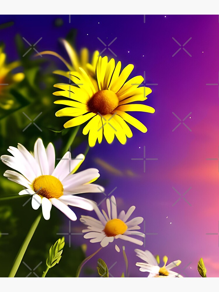 "Daisy sunset wallpaper" Sticker for Sale by gramizzia | Redbubble