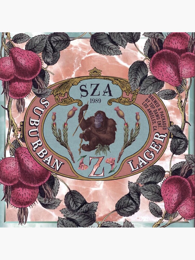"SZA Z album cover " Sticker for Sale by giadaaa3256 | Redbubble