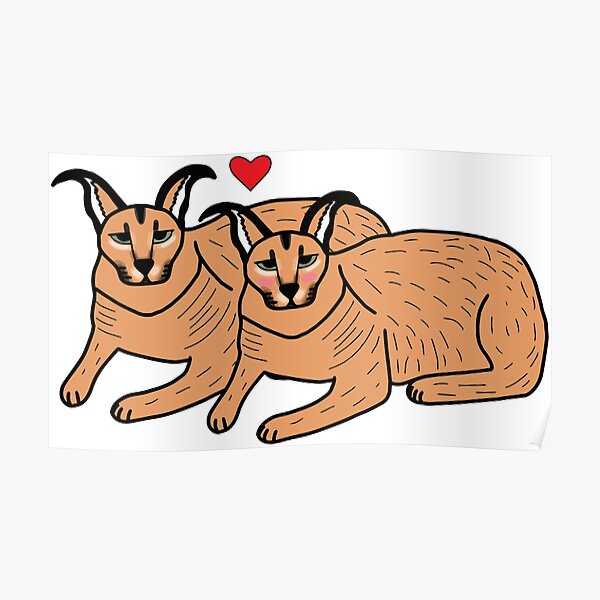 "Big Floppa Caracal Couple In Love" Poster for Sale by Softsi | Redbubble