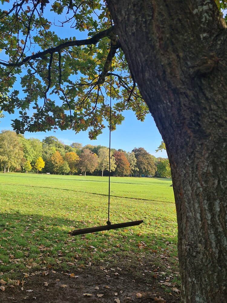 "Rope swing" Sticker for Sale by YRarts | Redbubble