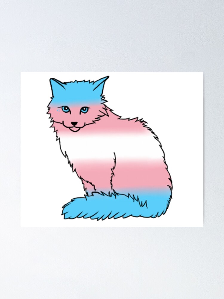 "Trans Pride Cat" Poster for Sale by MockingbirdTay | Redbubble