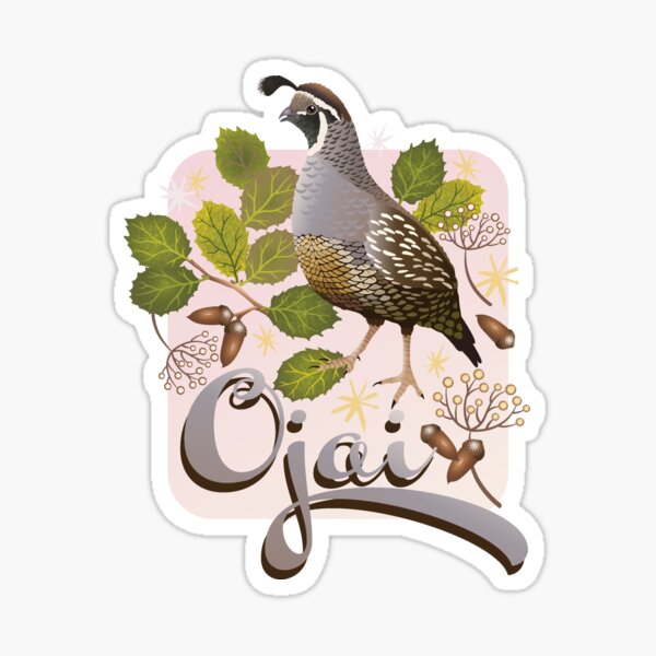 "Ojai Quail" Sticker for Sale by Pamelandia | Redbubble