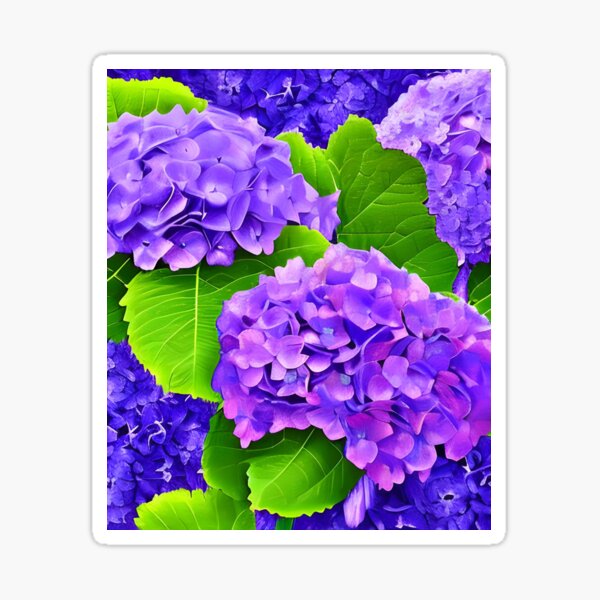 "Blue purple hydrangea flower" Sticker for Sale by gramizzia | Redbubble