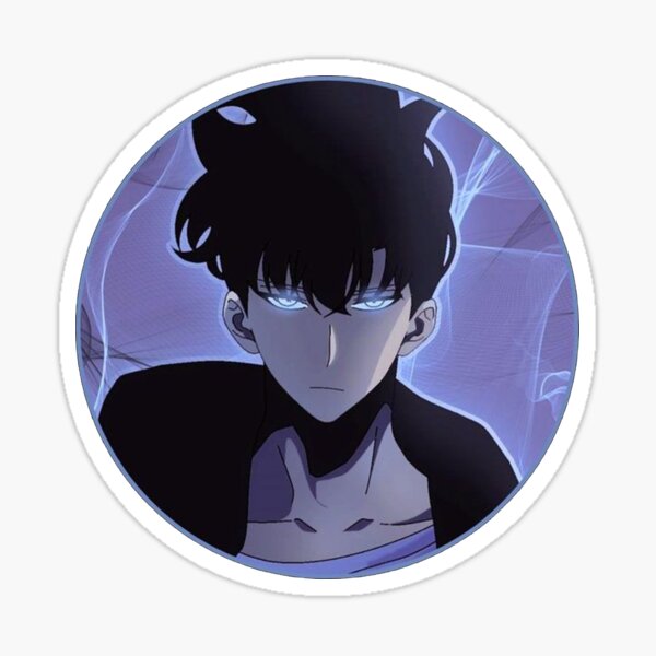 "Sung Jin Woo" Sticker for Sale by HD90 | Redbubble