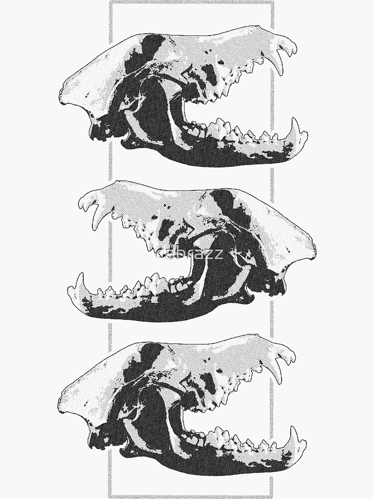 "Skull Row" Sticker for Sale by cabrazz | Redbubble