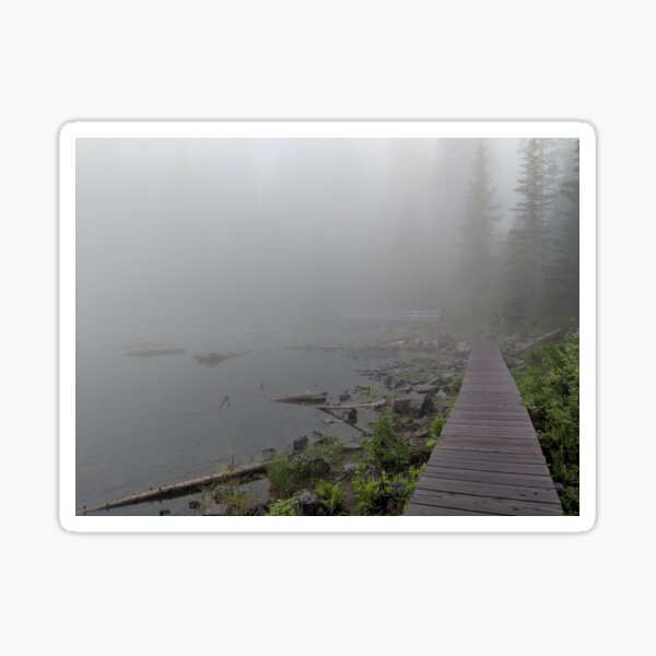 "Boardwalk into Fog" Sticker for Sale by MemeJoeGreen | Redbubble