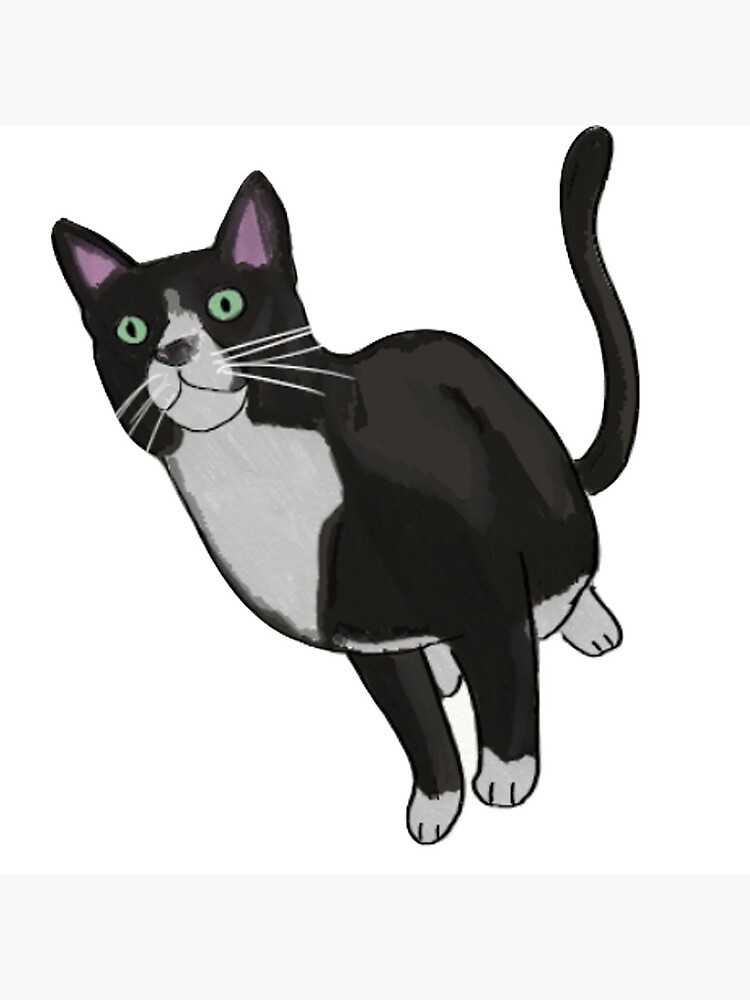 "Tim the Cat" Poster by ButteredDoodles | Redbubble