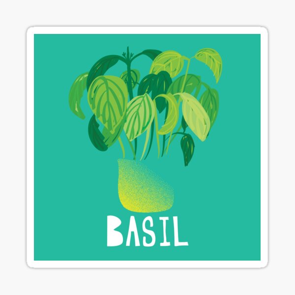 "Basil herb plant illustration " Sticker for Sale by SamOssie | Redbubble