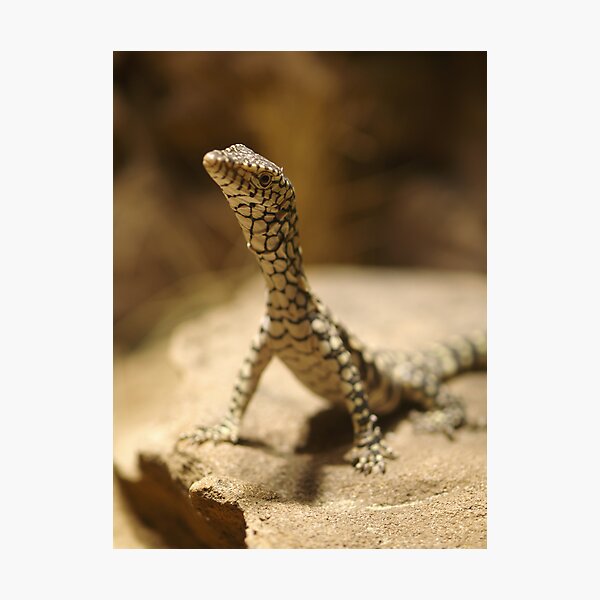 Gidday Gifts & Merchandise | Redbubble