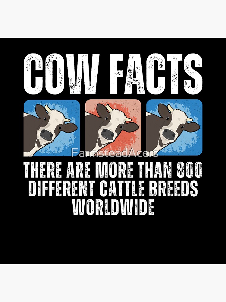 "Fun Facts about cows Different Cow breed Cow facts" Sticker for Sale ...