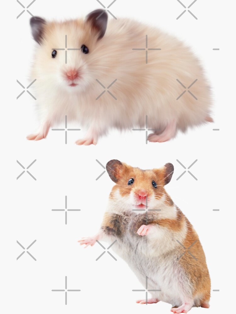 "Peace Sign and Screaming Hamster pet cool meme funny lover comedy ...