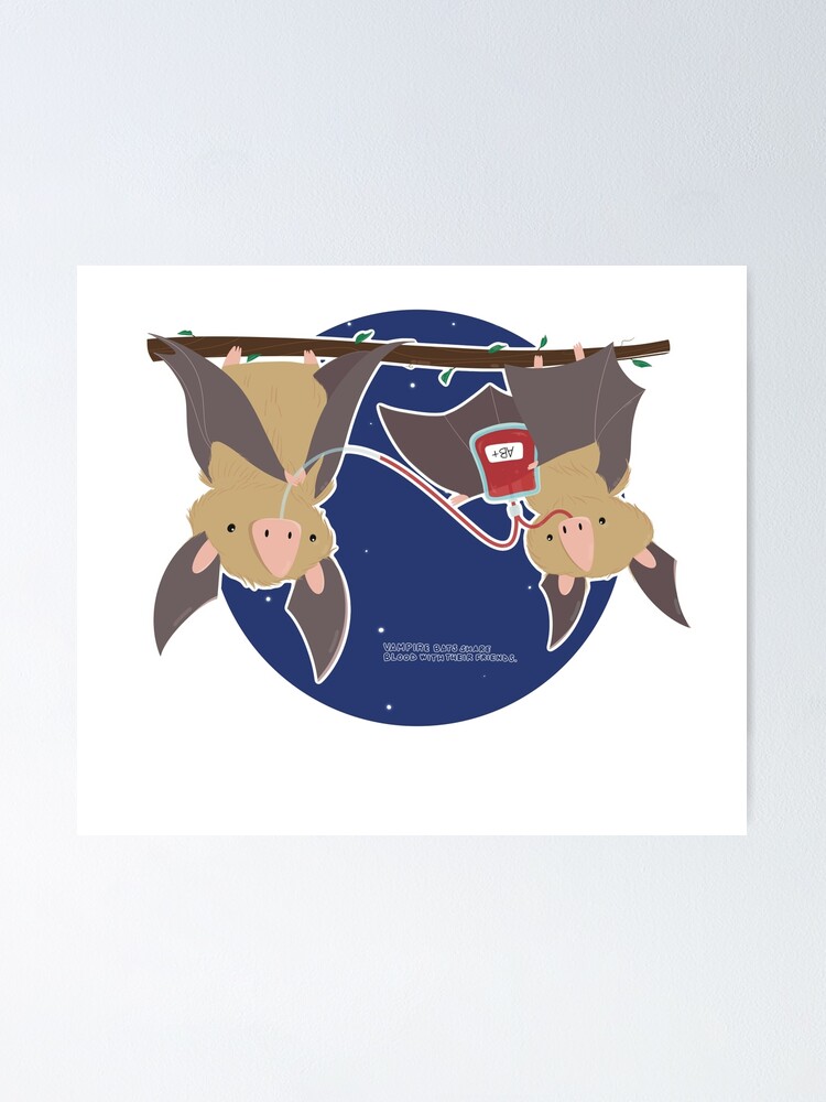 "animals fun facts bat" Poster for Sale by clemsarts | Redbubble
