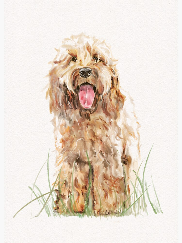 "Cockapoo Watercolor Painting" Sticker for Sale by polybas | Redbubble