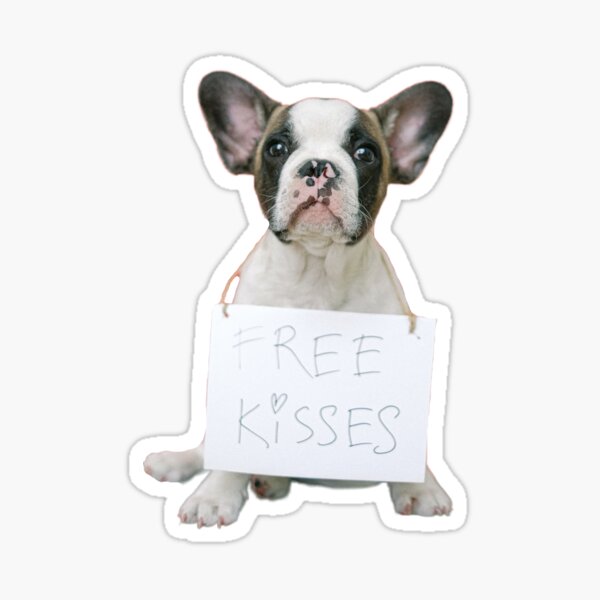 "Puppy Free Kisses!" Sticker for Sale by StickersForAlll | Redbubble