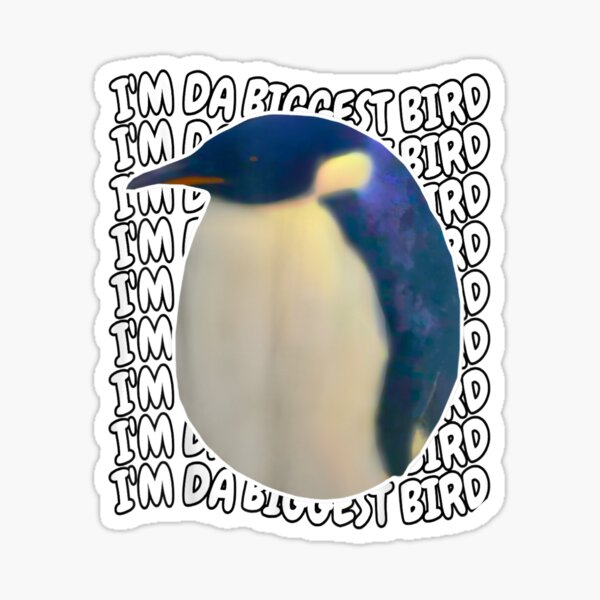 "Iam da Biggest Bird Meme" Sticker for Sale by medomin6 | Redbubble
