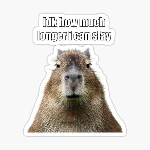 "Idk How Much Longer I Can Slay Capybara Sarcastic Dank Meme Quote ...