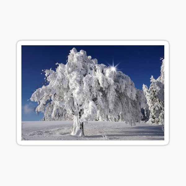 "Winter landscape, decorative snow landscape, holiday environment ...