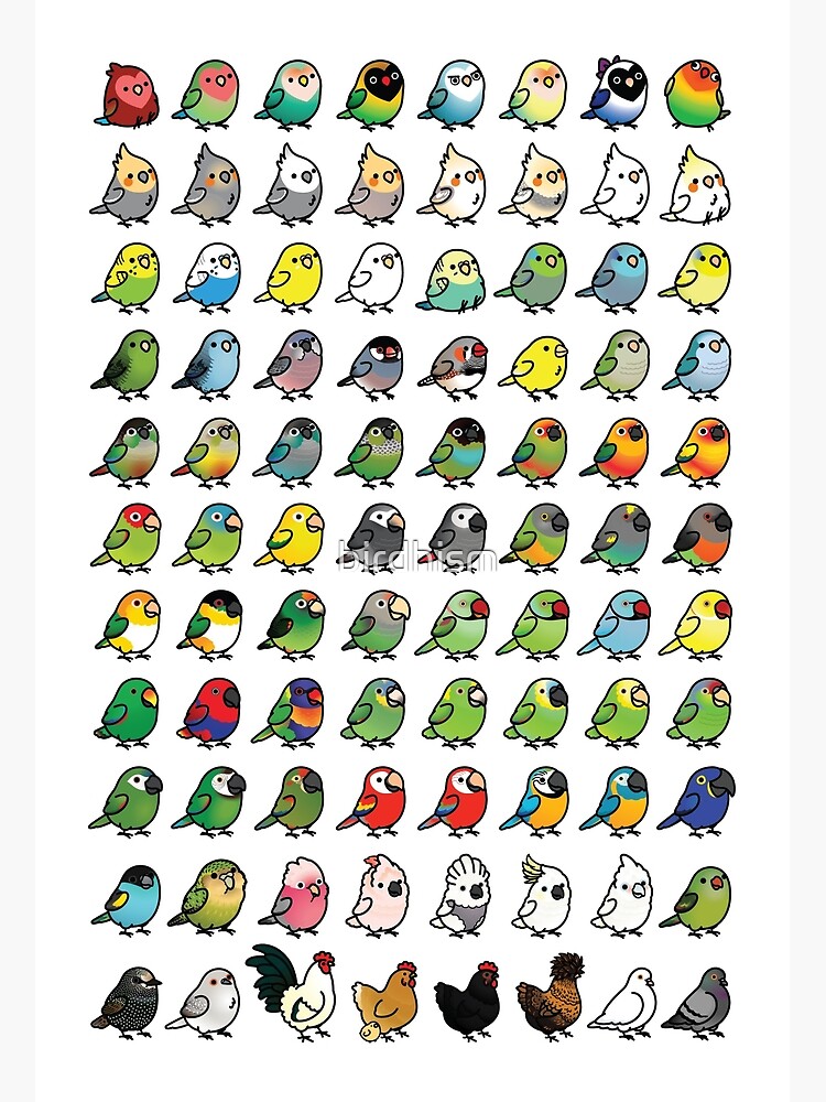 "The Chubby Bird Collection" Metal Print for Sale by birdhism | Redbubble