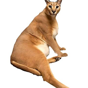 "Big Floppa - Caracal meme cat / fat floppa / cursed floppa" Sticker ...