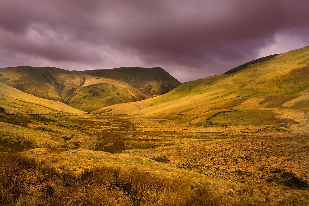 "Moorland Views" by Dave Hare | Redbubble
