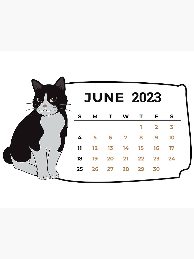 "Cute Cats Calendar 2023, June 2023 Calendar For Cat Lovers, Monthly ...
