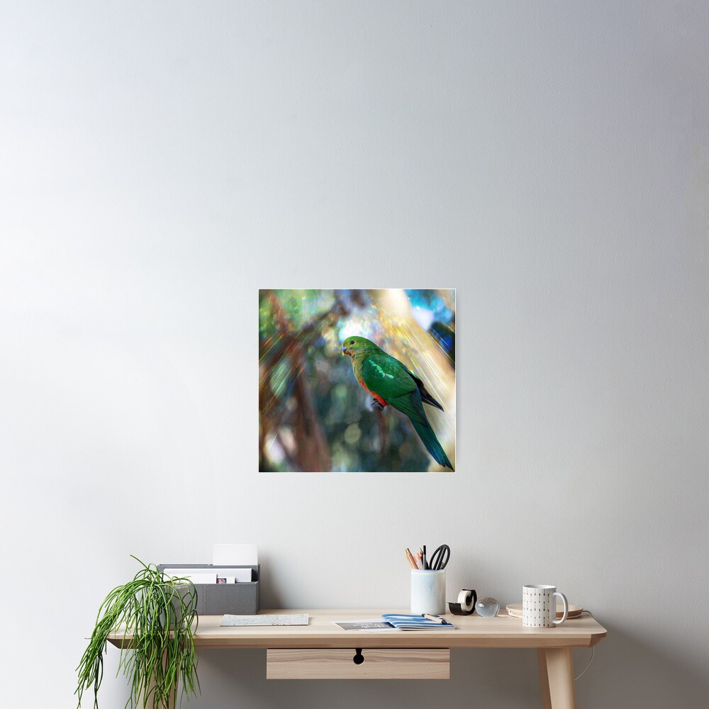 "Rosella" Poster by pawandpetal | Redbubble