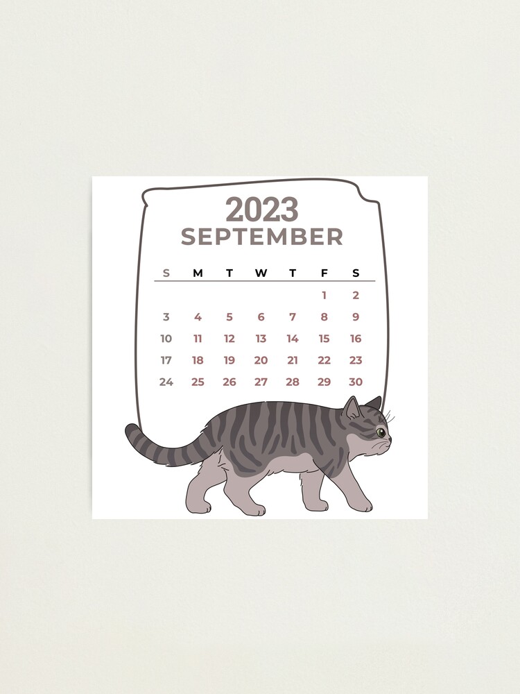 "Cute Cats Calendar 2023, September 2023 Calendar For Cat Lovers ...