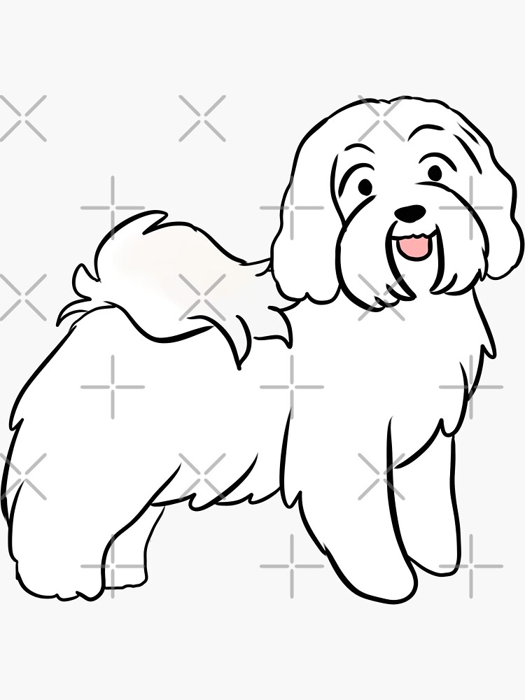 "havanese illustration " Sticker for Sale by Yarafantasyart | Redbubble