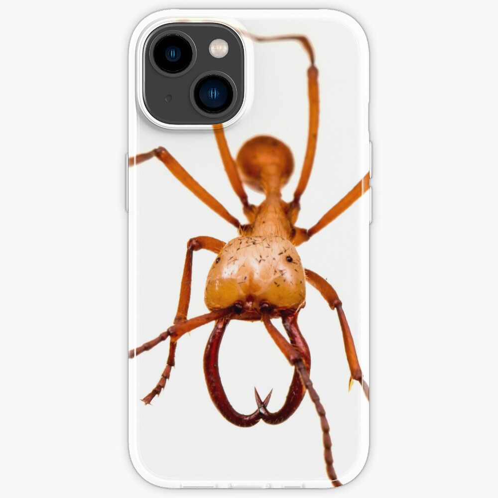 "Army ant - soldier head (Eciton burchellii)" iPhone Case for Sale by ...