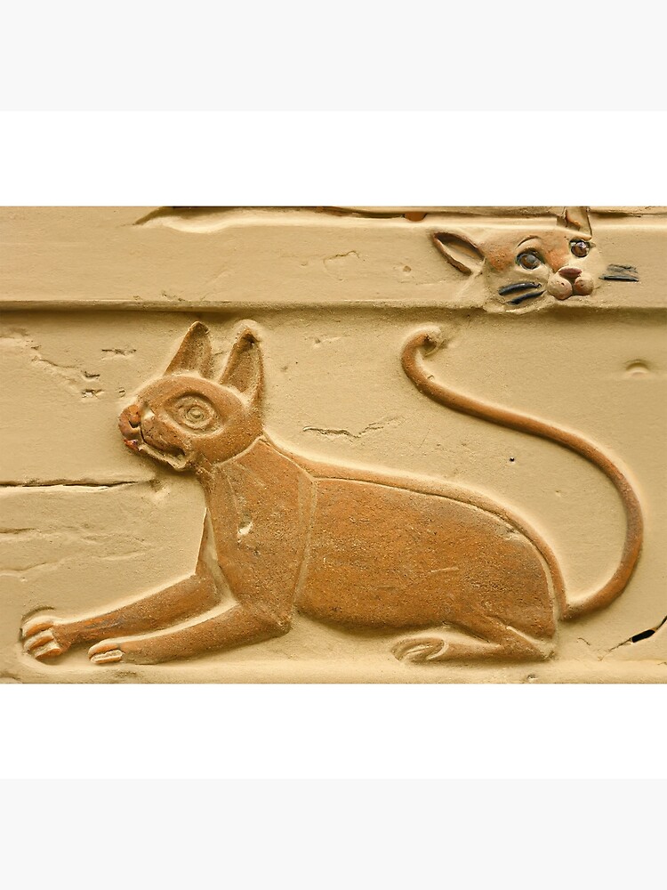 Cat Symbol Egyptian Hieroglyphics
